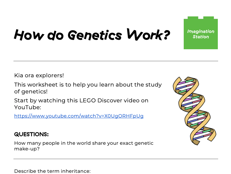 How do Genetics Work? | Imagination Station